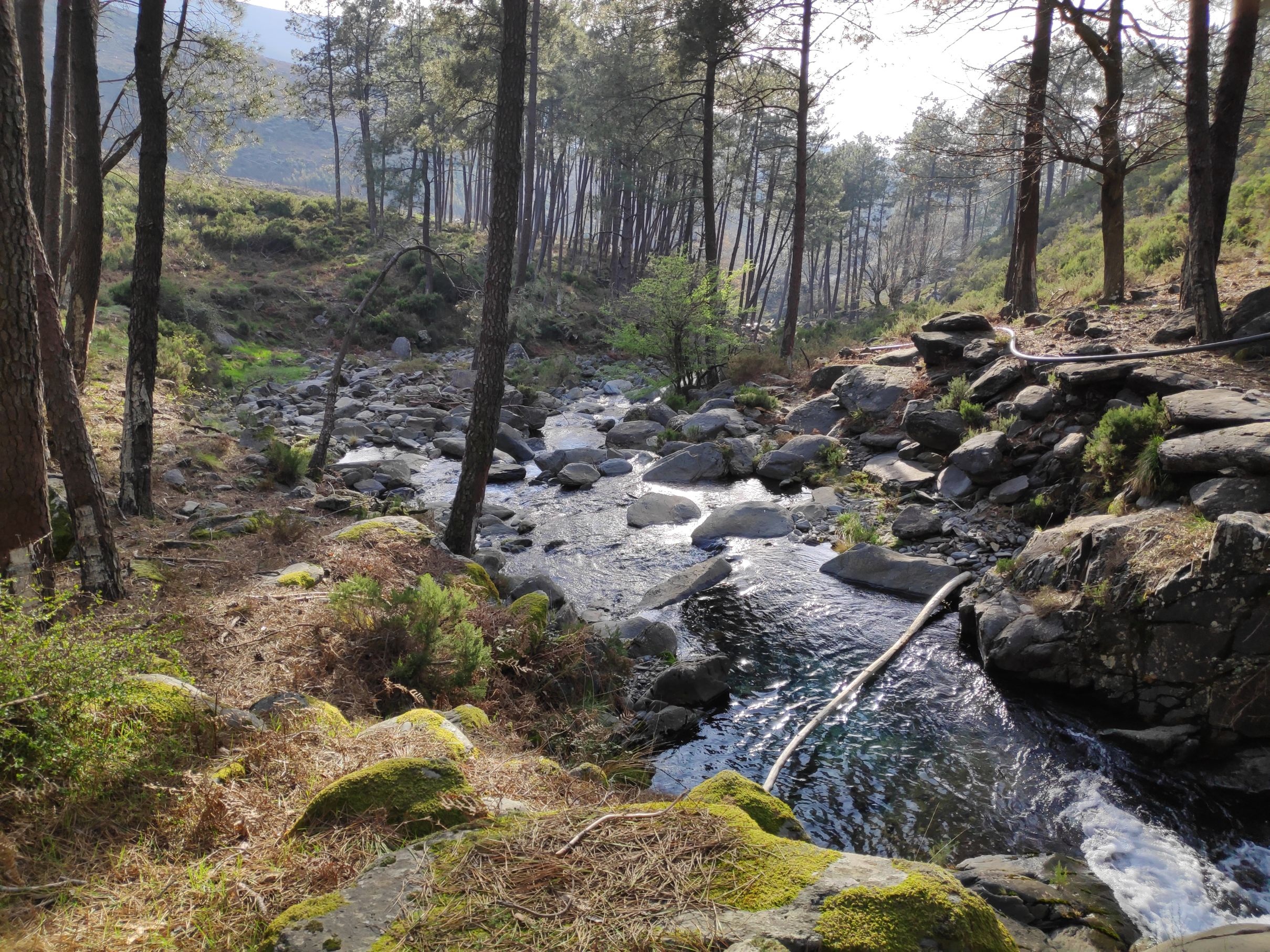 O Projeto - Baladi - Federação Nacional dos Baldios