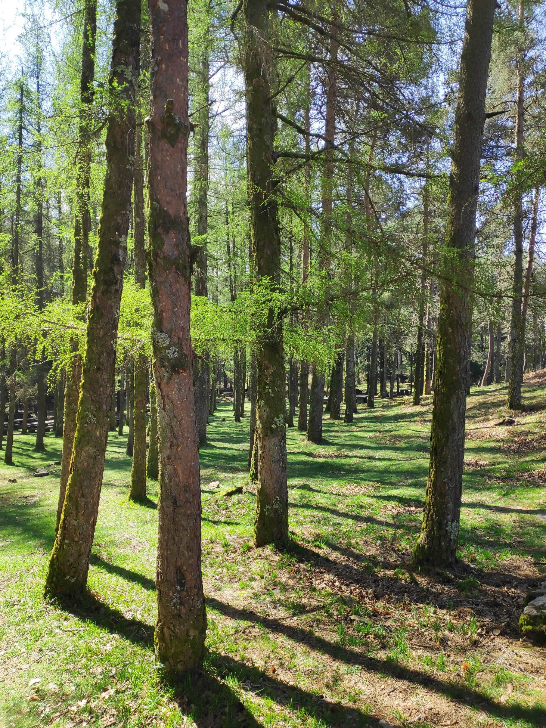 Contactos - Baladi - Federação Nacional dos Baldios